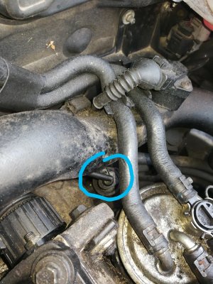 Wo sitzt der Geber für die Kraftstofftemperatur beim 1,9er TDI?